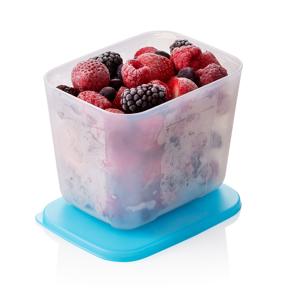 Tupperware Store & See Rectangular Fridge and Freezer Container 1.1L ...
