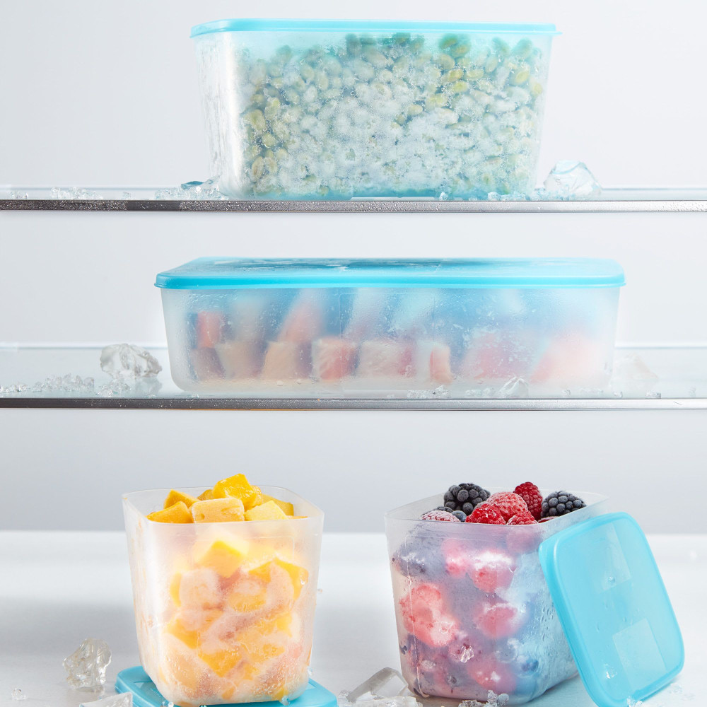 Tupperware Store & See Rectangular Fridge and Freezer Container 4 Piece ...